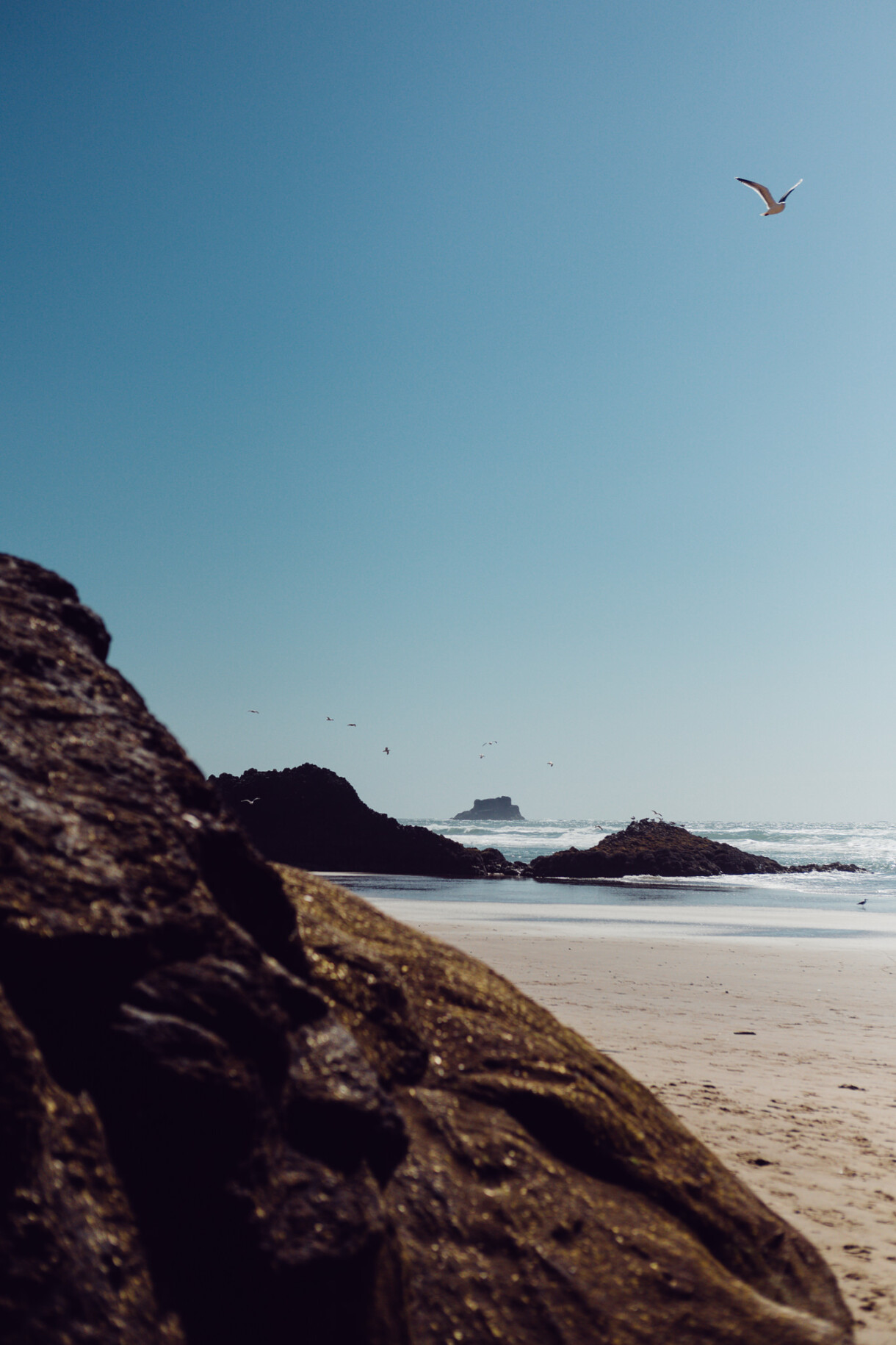 RNI All Films 4 PRO: A Preset System Fuji Shooters Can Get Behind ...