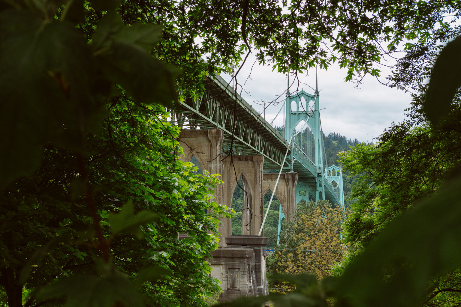 RNI All Films 4 PRO: A Preset System Fuji Shooters Can Get Behind ...