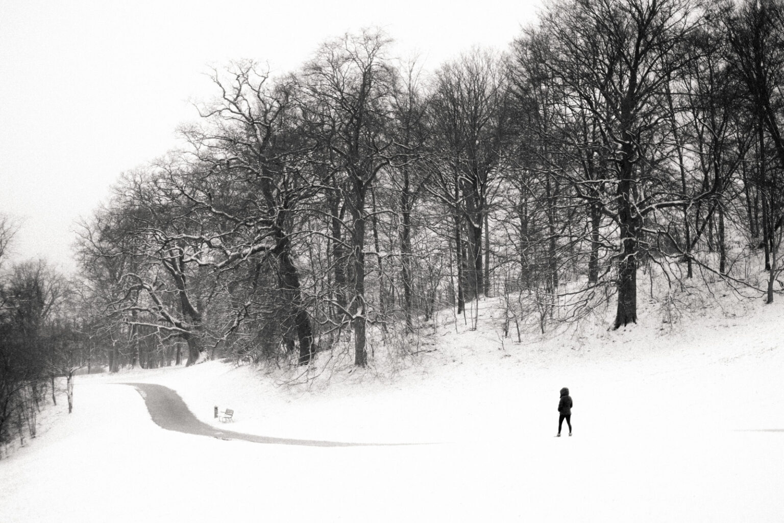 Staying In Focus On The Visual Journey – FUJILOVE MAGAZINE