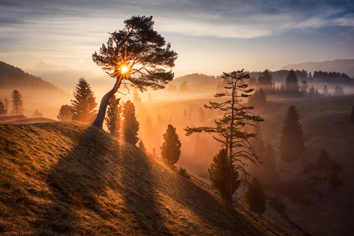 Using Alien Skin Exposure in My Fujifilm Editing Workflow – FUJILOVE ...