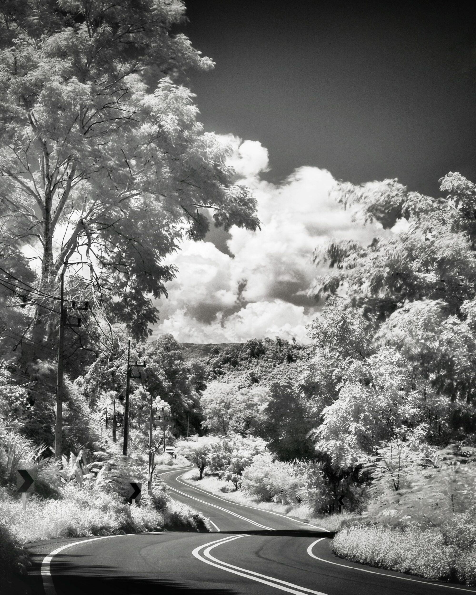 Filtered Vision – Seeing the World in a Different Light – FUJILOVE MAGAZINE