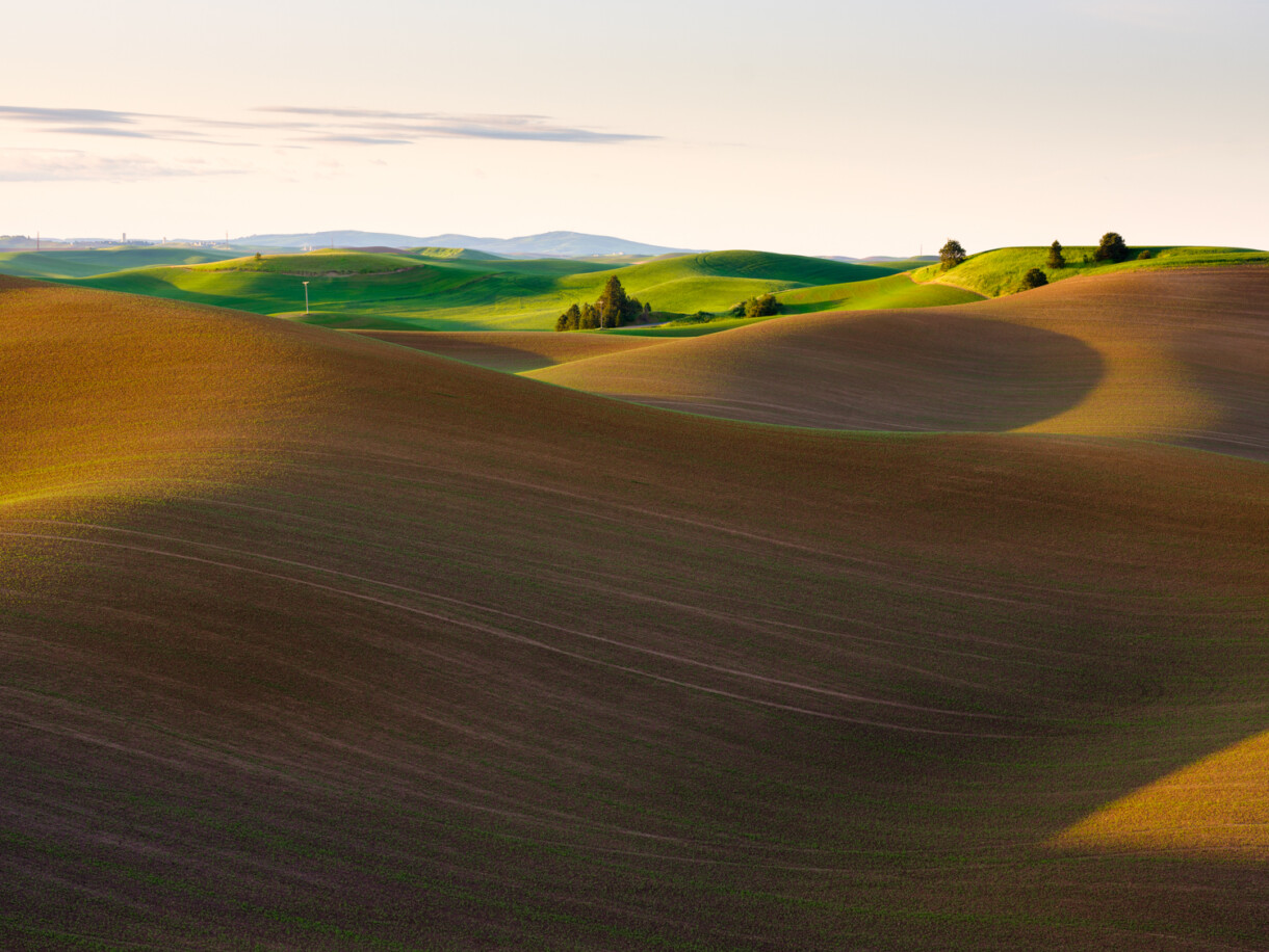 The Palouse Effect – FUJILOVE MAGAZINE