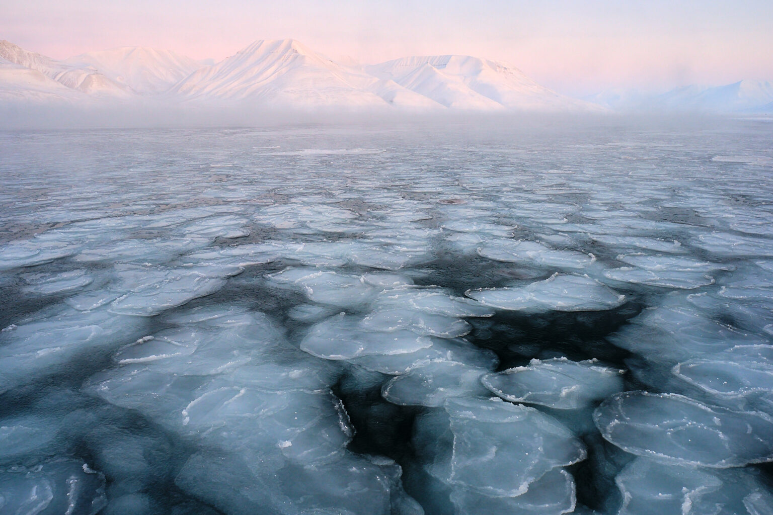 What does it take to photograph the arctic nature? – FUJILOVE MAGAZINE