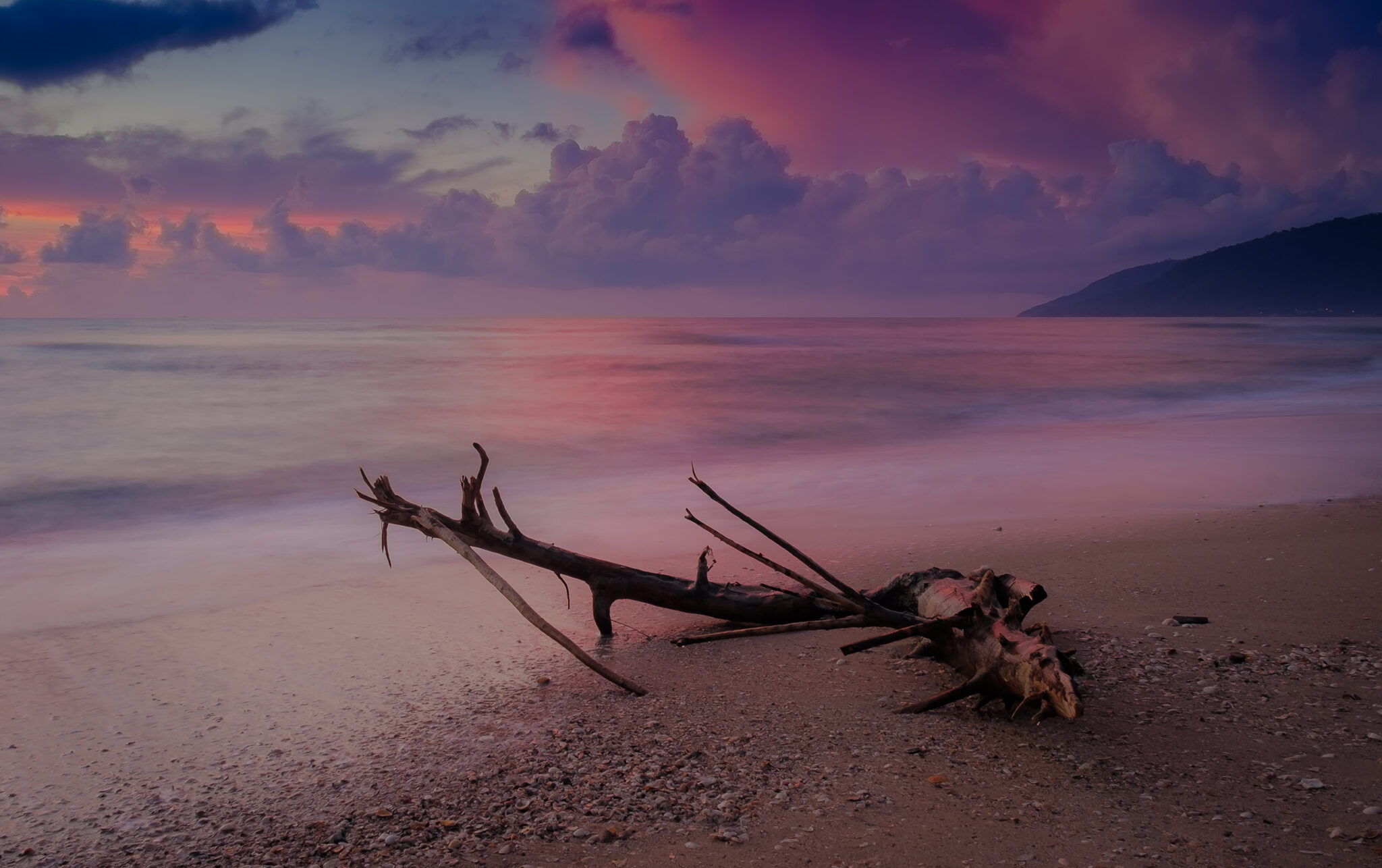 Carpe Diem & Photography – FUJILOVE MAGAZINE