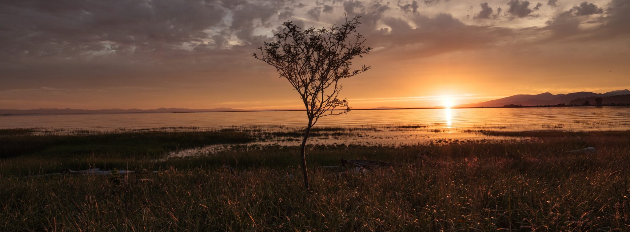 Use the Cinematic Crop as a Creative Tool for Your GFX and X Series ...