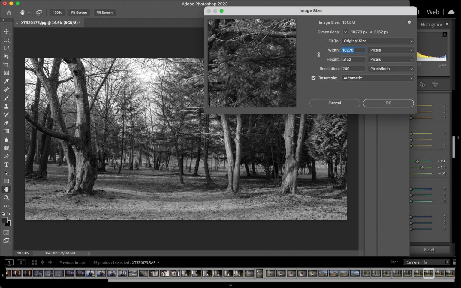 The Power of Cropping With the 40 Megapixel X-T5 – FUJILOVE MAGAZINE
