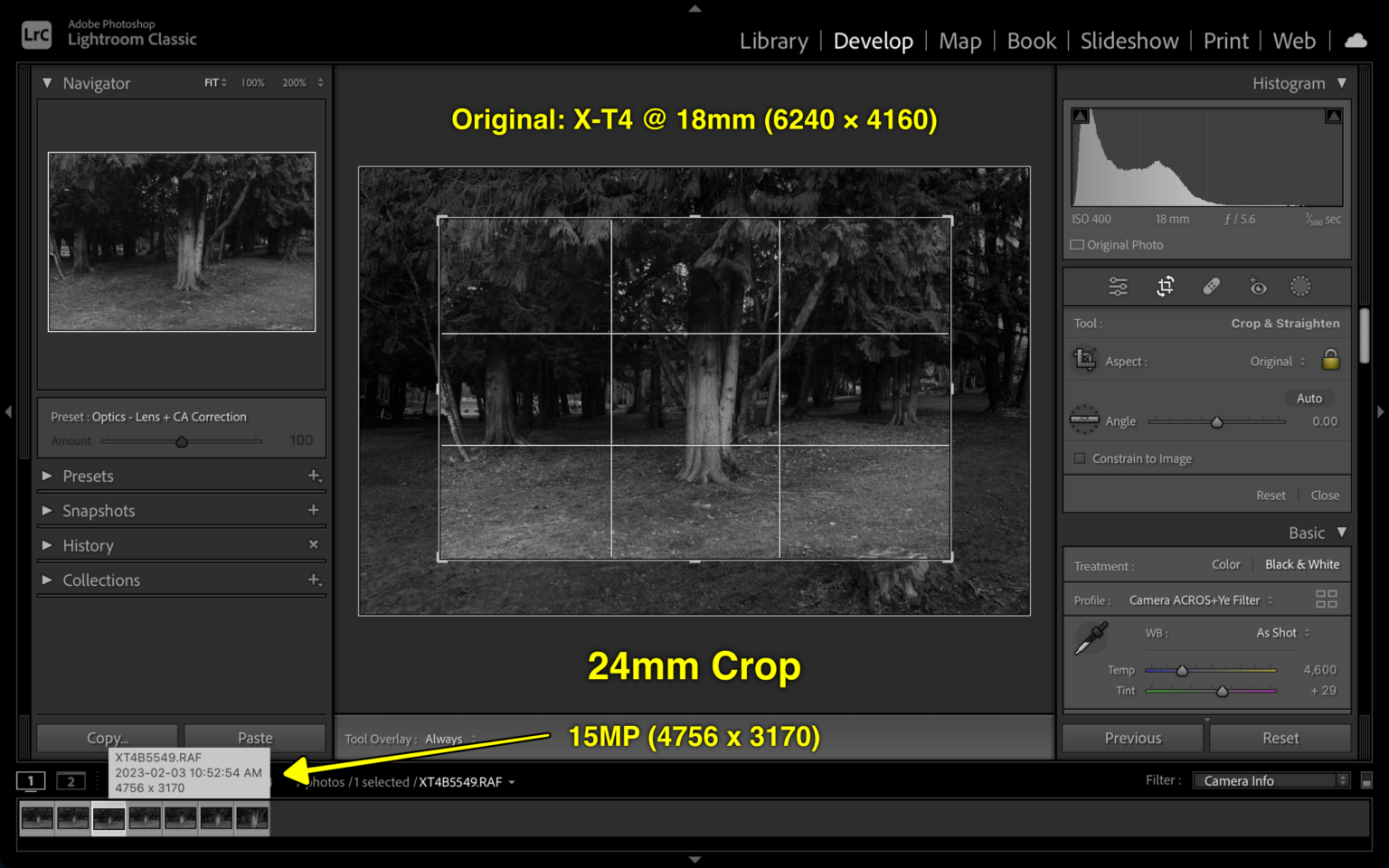The Power of Cropping With the 40 Megapixel X-T5 – FUJILOVE MAGAZINE