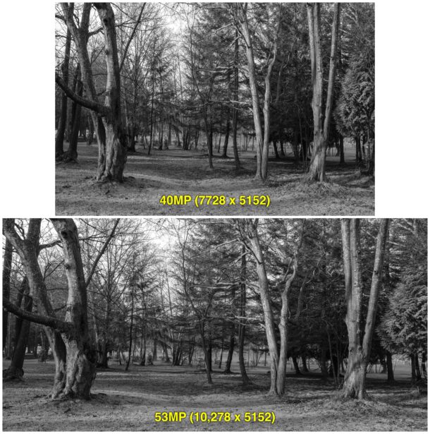 The Power of Cropping With the 40 Megapixel X-T5 – FUJILOVE MAGAZINE