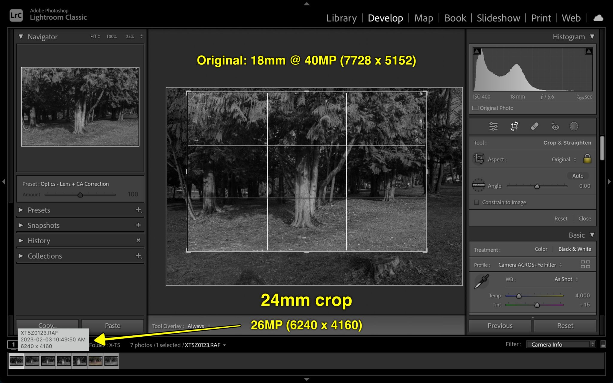 The Power of Cropping With the 40 Megapixel X-T5 – FUJILOVE MAGAZINE