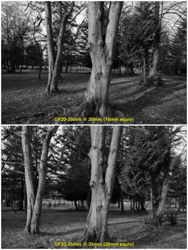 Is It Still Worth Buying a Fujifilm 50MP Medium Format Camera ...